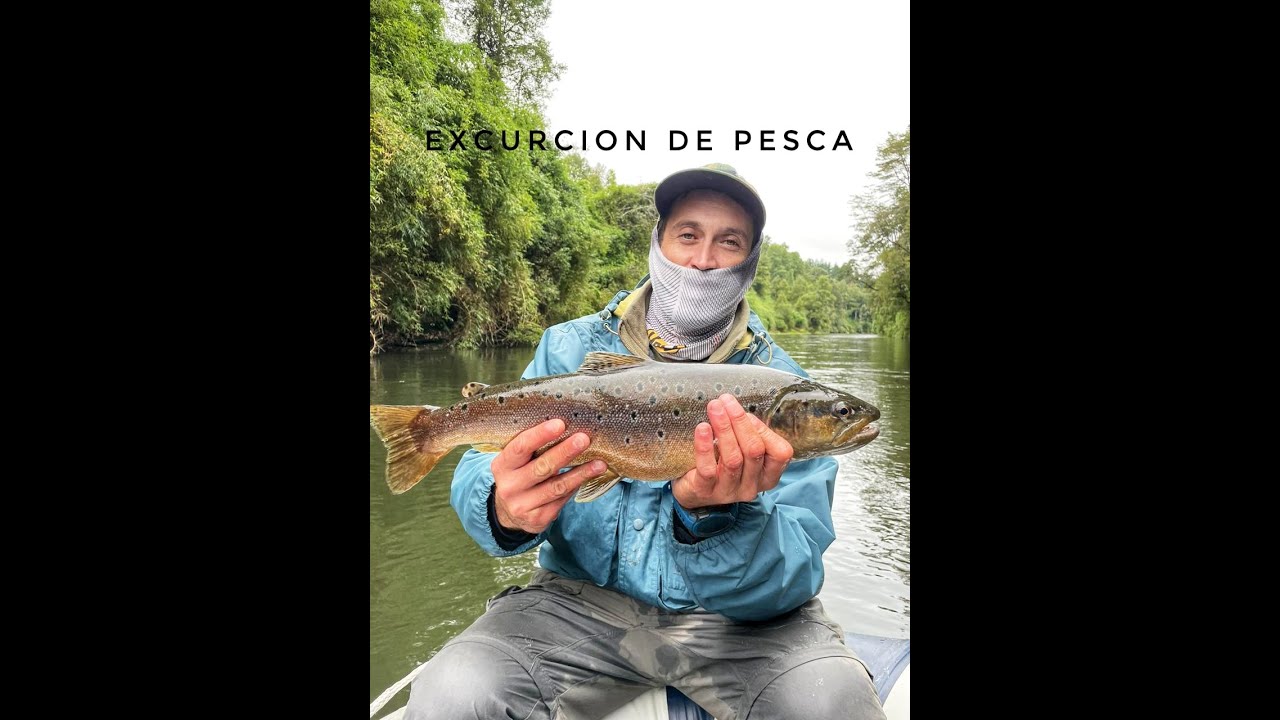 PESCA EN CHILE, EXCURCION EN BOTE //SUR DE CHILE - YouTube
