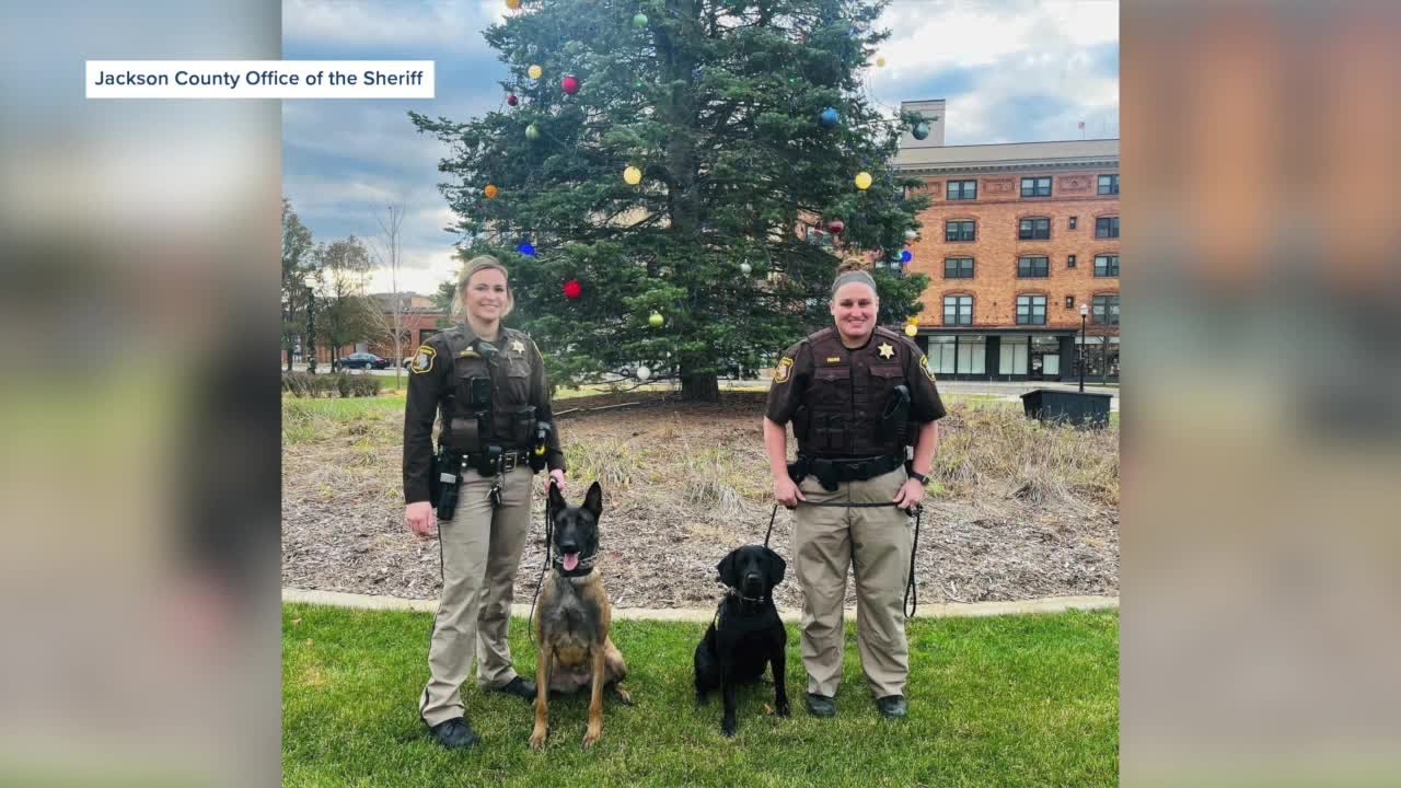 Jackson County Sheriff's Office welcomes new K9 deputies - YouTube