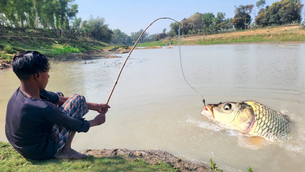 Amazing Big Fish Hook Fishing in River - YouTube