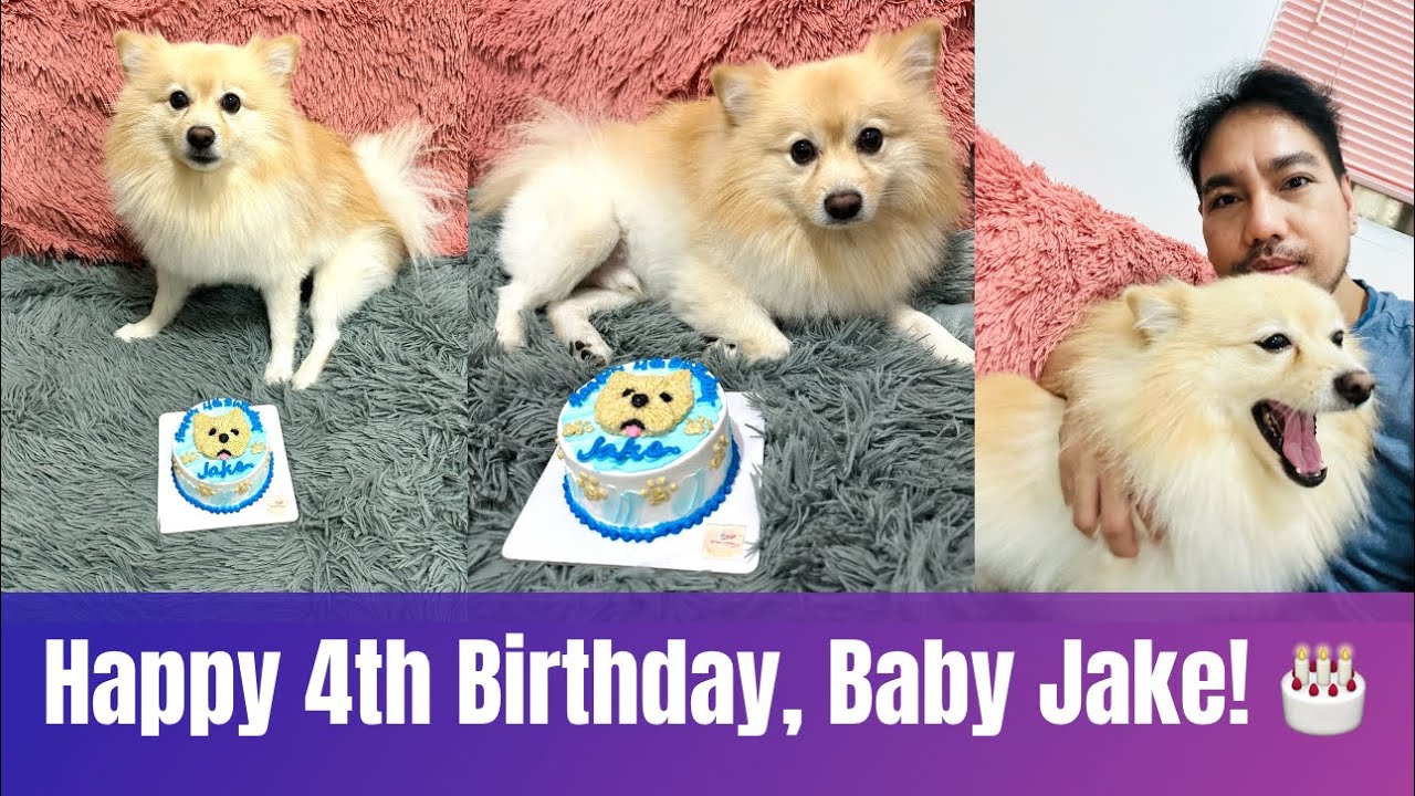 Happy 4th Birthday, Baby Jake! - YouTube