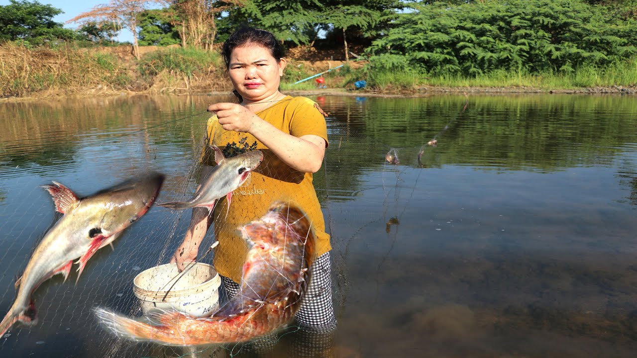 Catch the incredible fish! Incredible Fishing Cast Net Fishing, Amazing ...