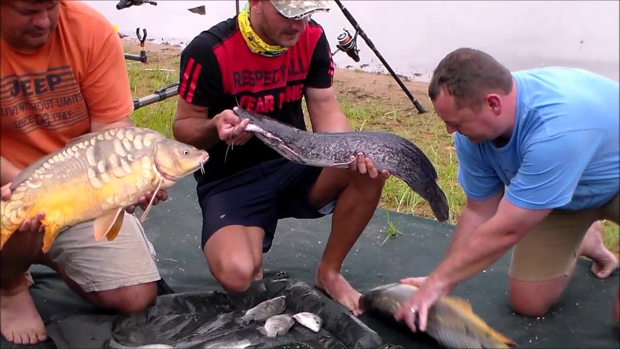 KAPHOM varswater hengel : albasini dam , beja hengel paradys , limpopo ...