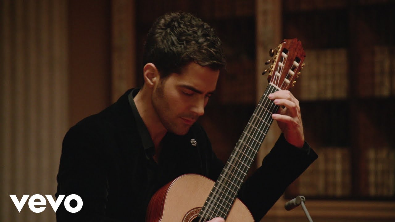 Classical Guitarist