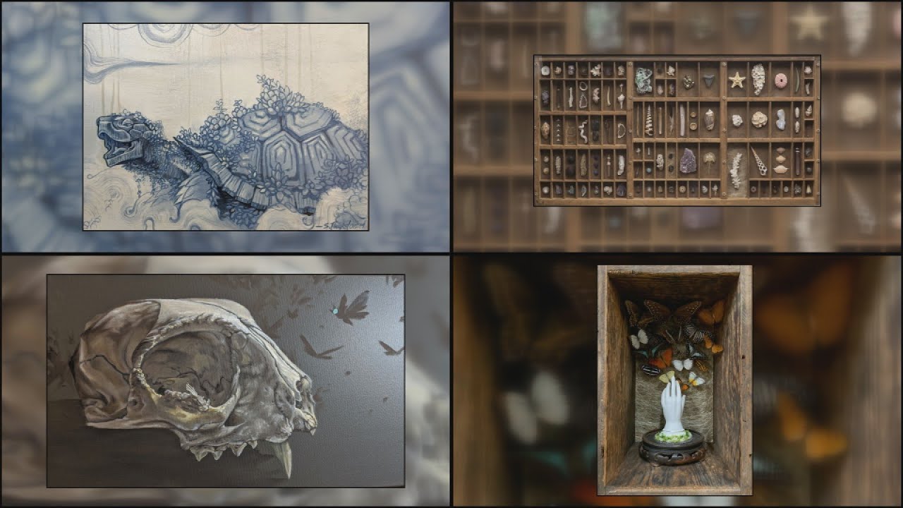 "Collected Thoughts" art exhibition at FSCJ - YouTube
