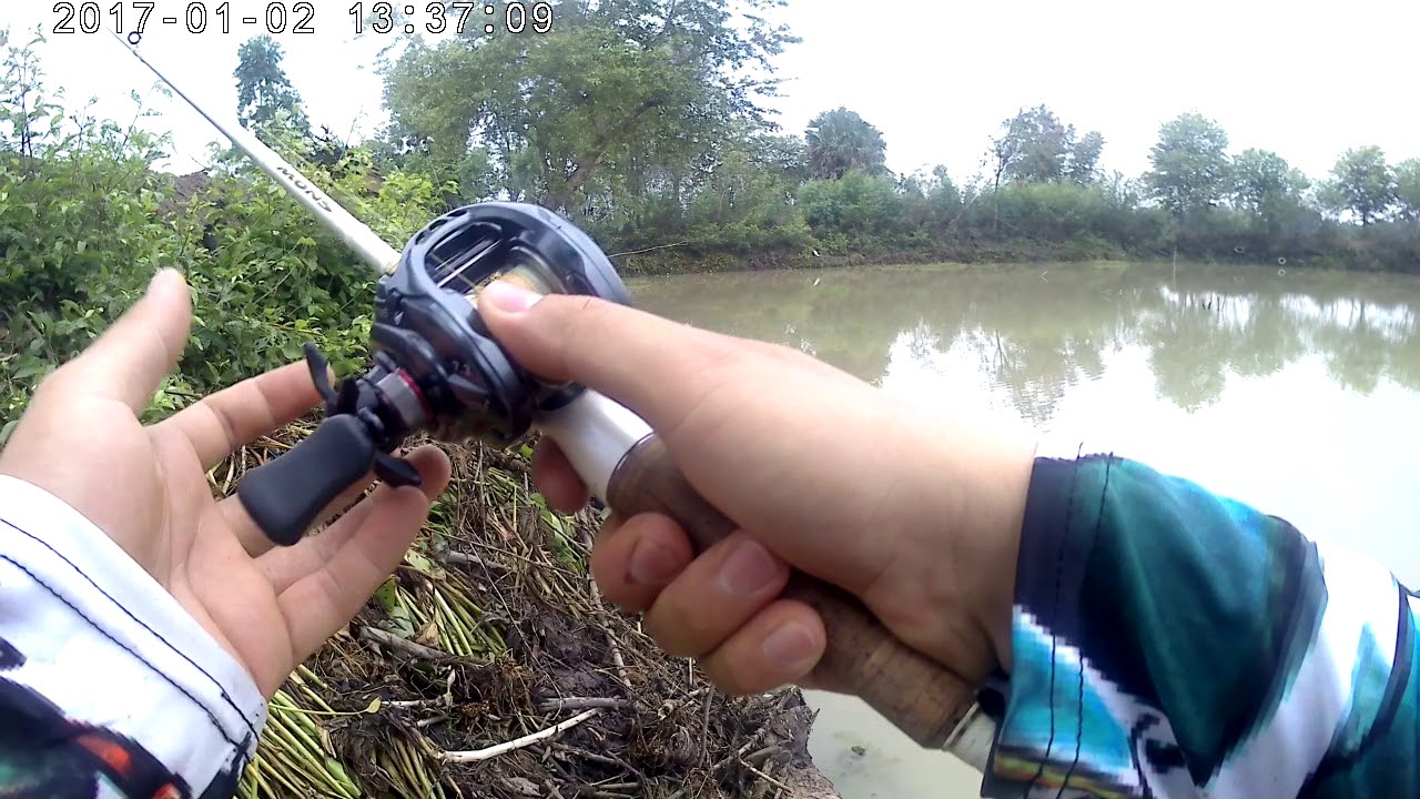 NO SINKER RIG = ตกปลาช่อนเคี่ยว หนองบึงแก - YouTube