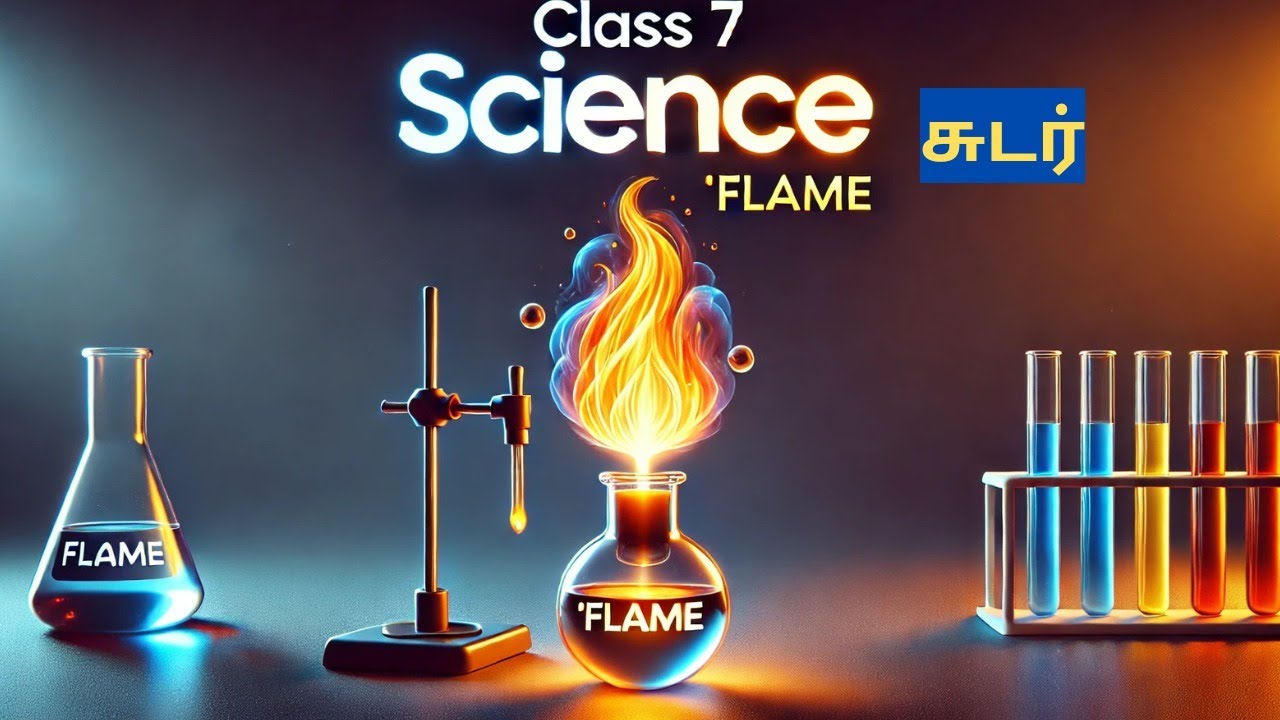 (07th Science TN) Flame / சுடர், Structure of a Candle flame / மெழுகு ...