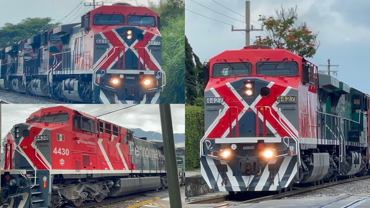 COMIENZA LA EXTINCIÓN DE LAS RANITAS DE FERROSUR 😢LAS PRIMERAS 3 CEBRAS ...