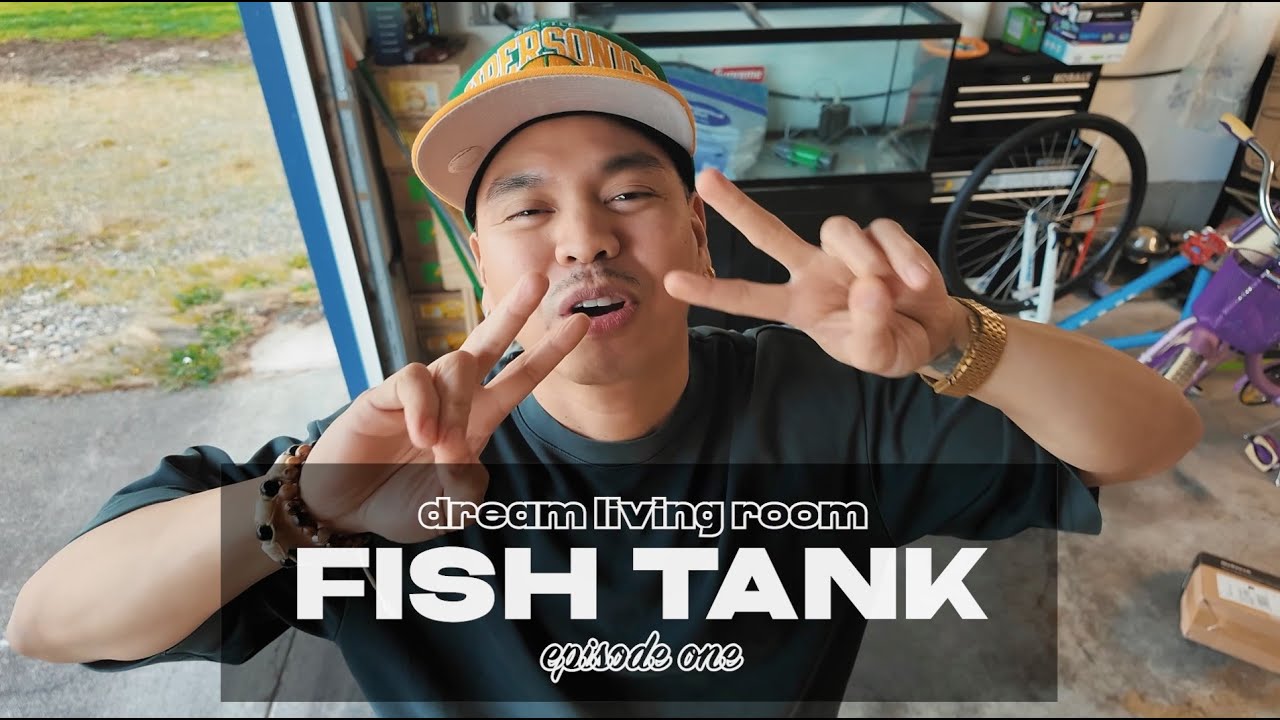 75 Gallon Aquascape Freshwater Community Fish Tank | Episode 1 - YouTube