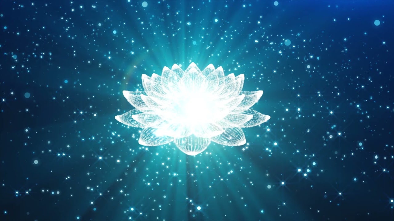 Beautiful and cool 4k animation video with blue lotus background ...