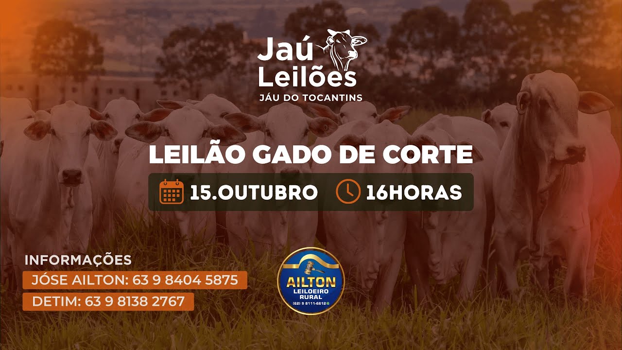 JAU LEILÕES - JAU DO TOCANTINS - 15/10/2024 - YouTube
