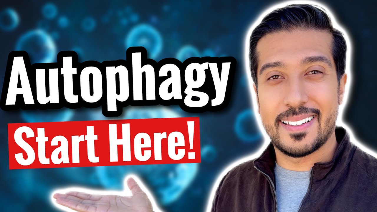 Autophagy 101 | How to Make Autophagy WORK For You (Complete Guide ...