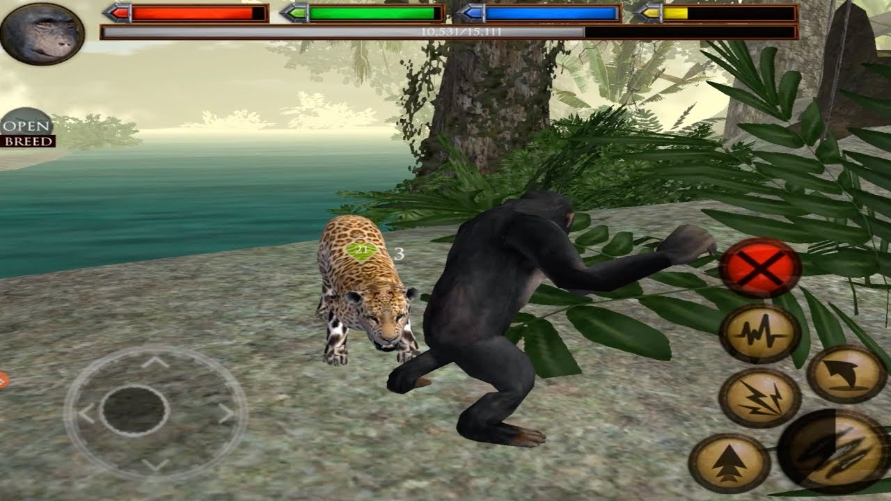 Furious Chimpanzee VS Angry Leopards. Ultimate Jungle Simulator - YouTube