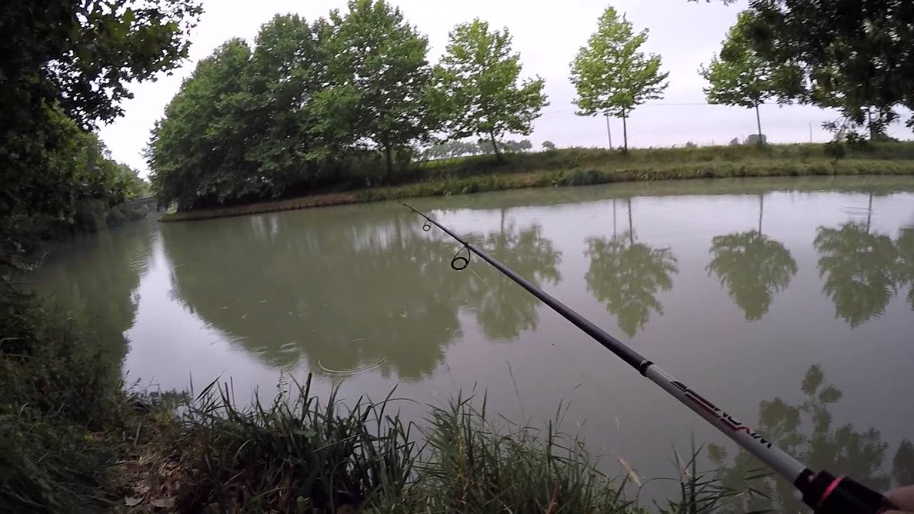 CANAL DU MIDI ULTRA LIGHT PERCHE SANDRE SILURE POISSON CHAT - YouTube