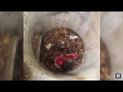 Missing Florida Women Found Naked and Alive in Sewer