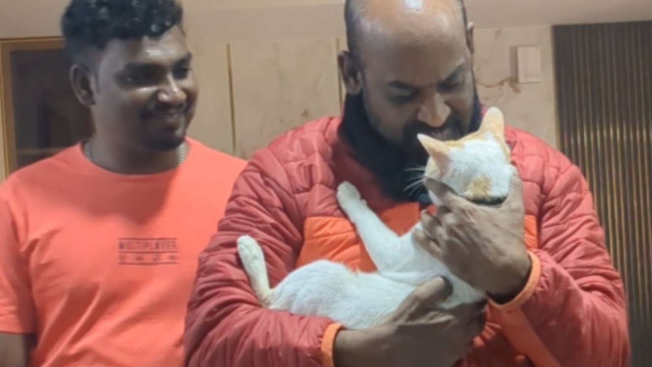 Krish happy to see Dad arrived home #love #funny #trending #krish #cat ...