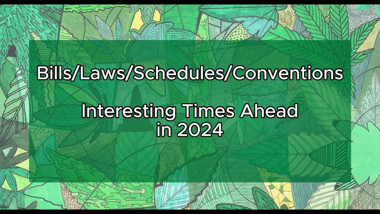 Interesting Times ahead in 2024 - YouTube