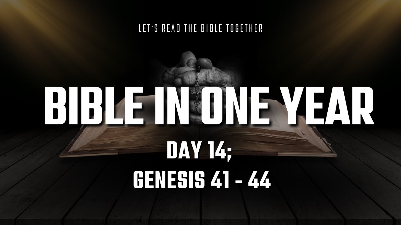 Bible in one year Day 14. Genesis 41 - 44 🌟 Start 2025 with the Word of ...