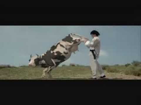 Kung Fu sion- Karate cow - YouTube