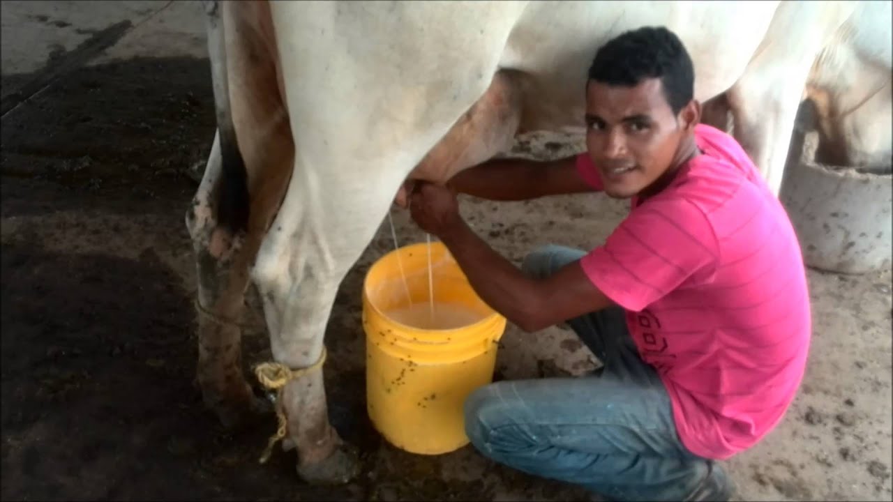 RAZA CARORA - YouTube