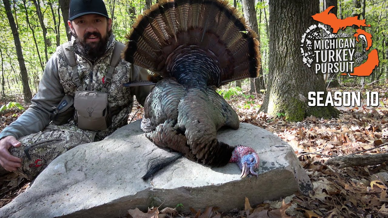 Public Land Tom Finally Comes In - 2023 Michigan Turkey Hunt - YouTube