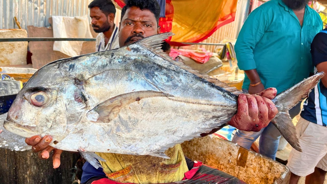 KASIMEDU SPEED SELVAM DIAMOND TREVALLY FISH 🐟 CUTTING VIDEO \ CUTTING ...