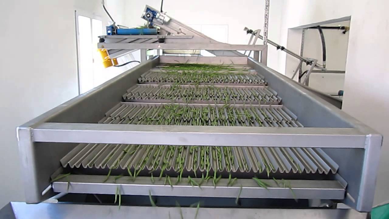 Bean line fresh vibrating sorting table capacity 2T H - YouTube