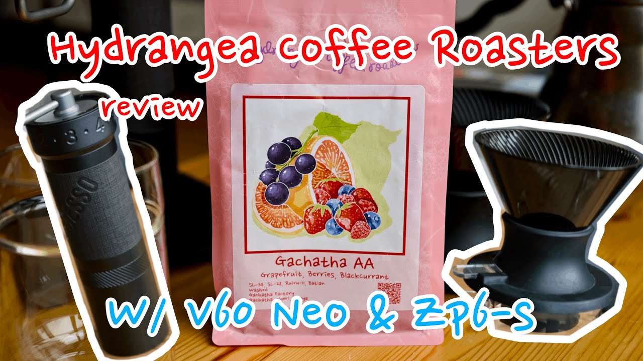 Hydrangea Coffee Roasters | Gachatha AA Review - YouTube