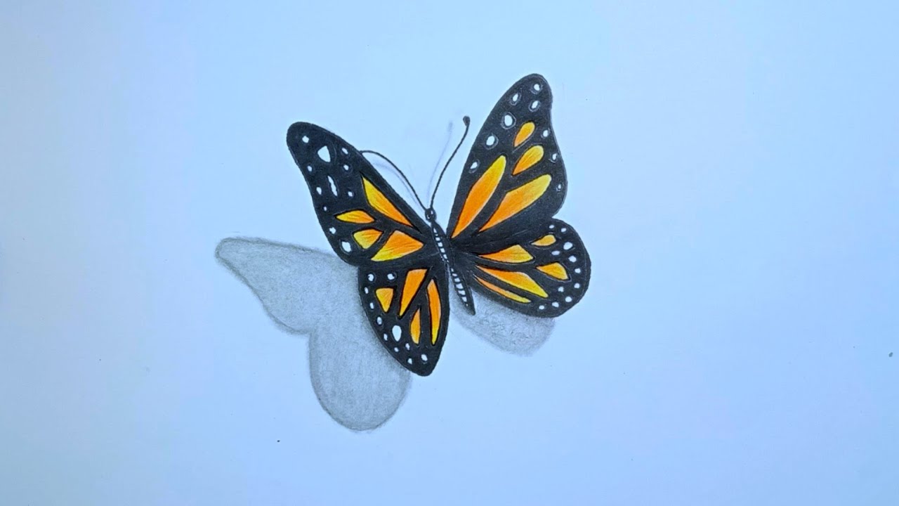 How To Draw 3D butterfly 🦋 For Beginners easy steps (art video) - YouTube