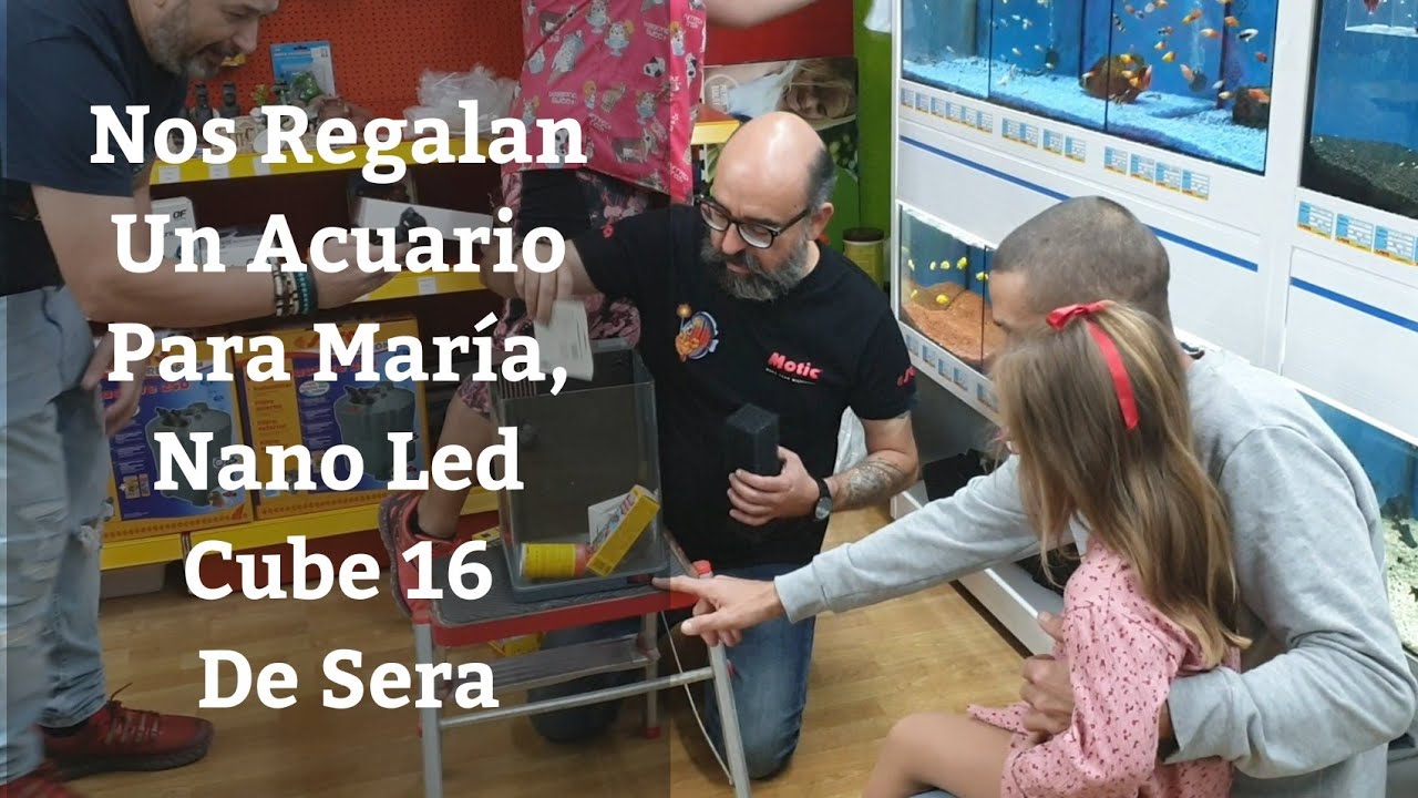 🔵 Nos Regalan Un Acuario Para Maria,Sera Biotop Nano Led Cube16 ...