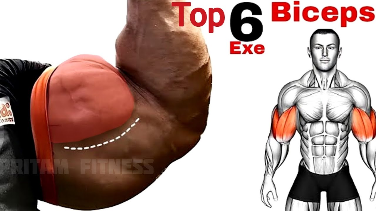 The 6 Most Powerful Exercises to explode the Biceps Muscle, bodybuilding - YouTube