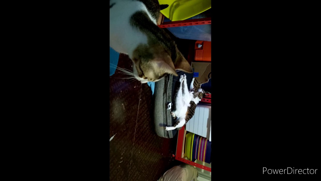 Binalewala_hugot song - YouTube