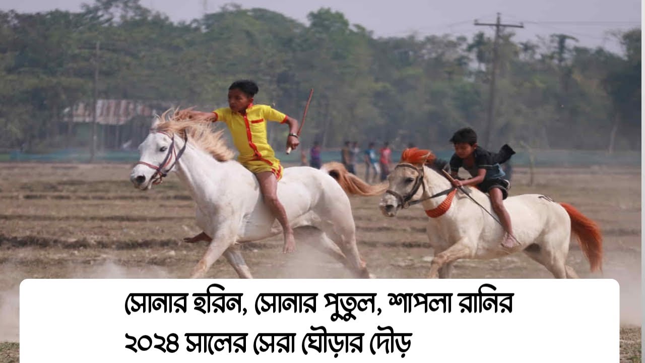 Sunar Horin Vs Sunar Puthul Vs Shapla Rani সোনার হরিন, সোনার পুতুল ...