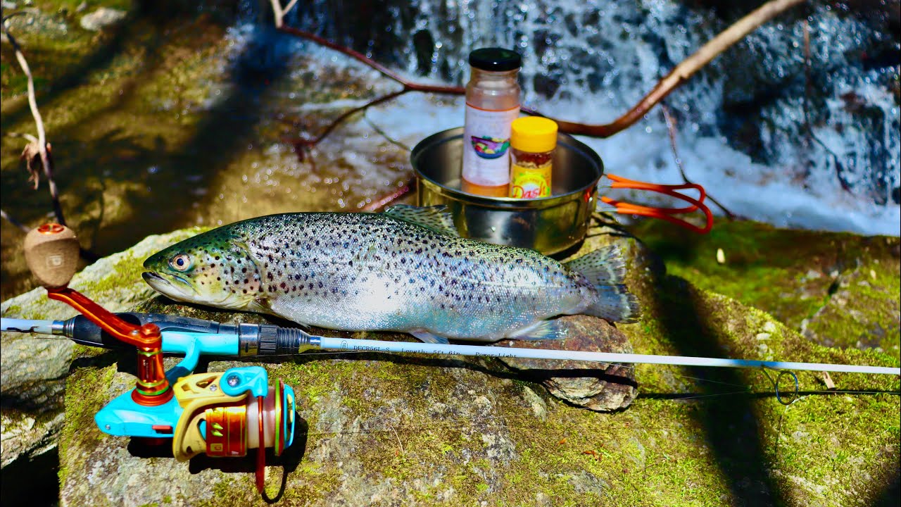 2 Day Catch Cook Camp in the South Carolina Mountains! - YouTube