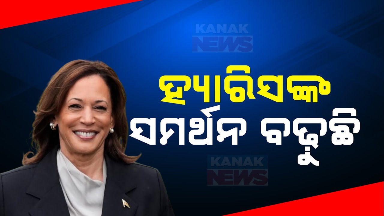 Kamala Harris Gains Support From Democratic Heavyweights For White ...