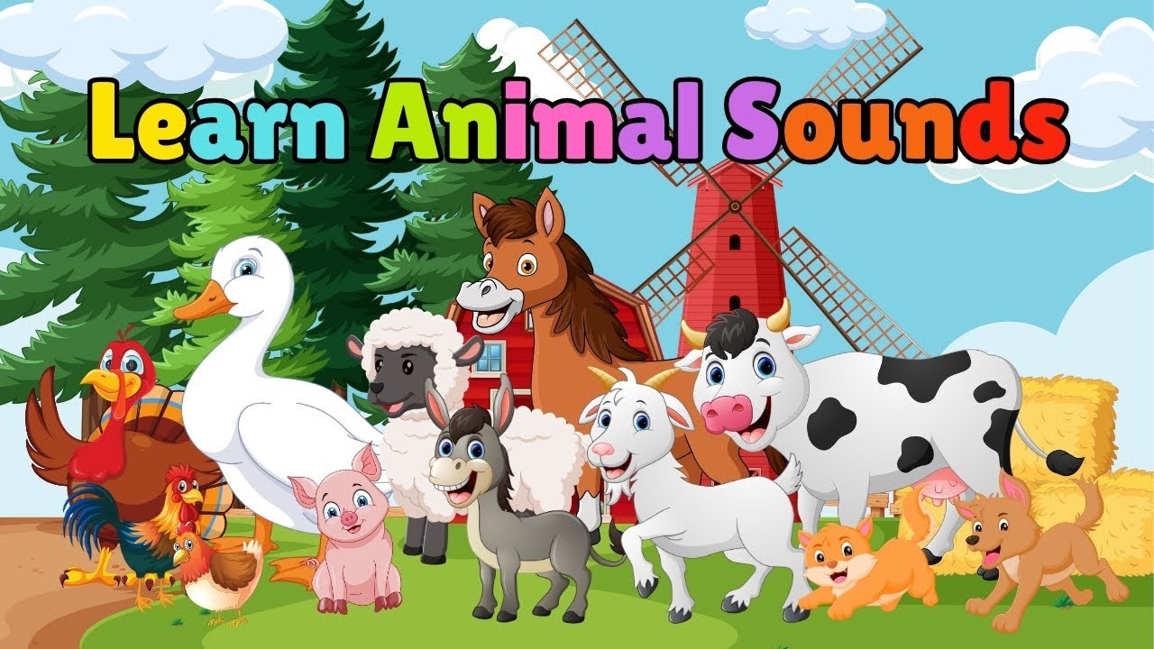 Animal Sounds Song: Learn animals sounds and names the fun way! - YouTube