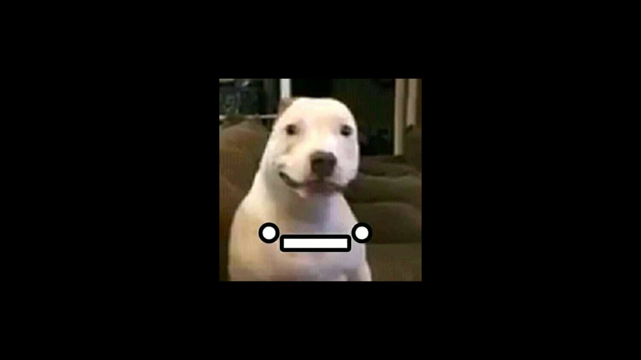 shipost compilation #8/en español - YouTube