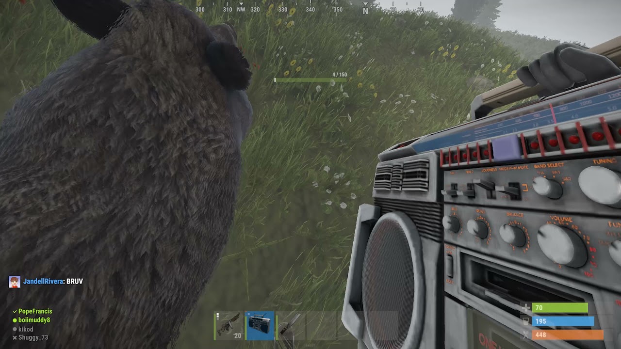 rust pig spanish chase GONE SEXUAL !!!! - YouTube