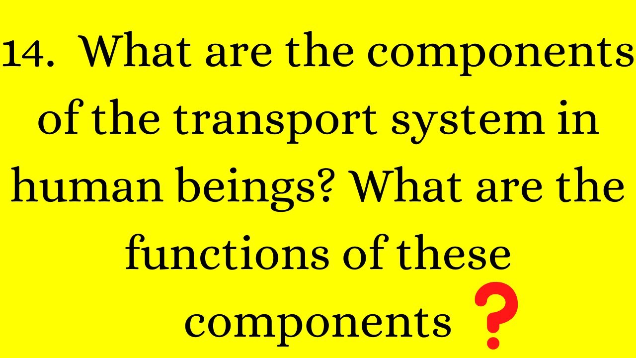 14. What are the components of the transport system in human beings ...