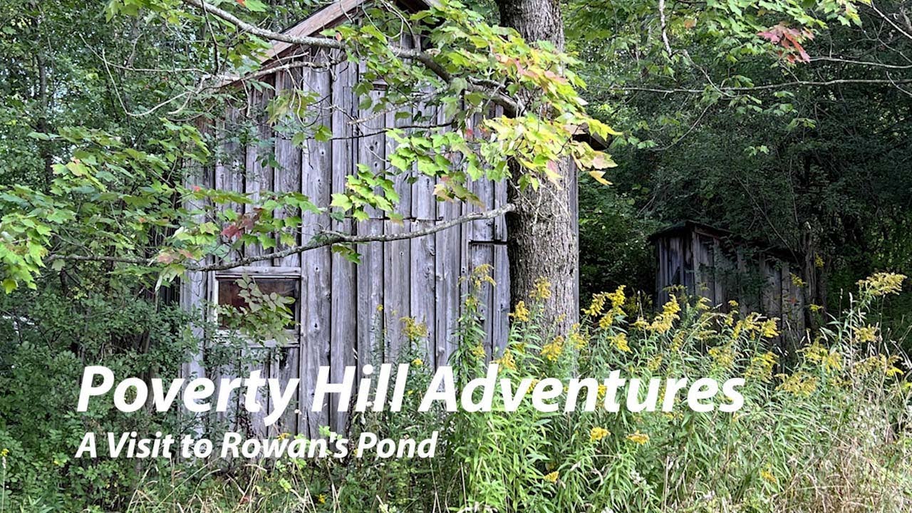 A Visit to Rowan's Pond - YouTube