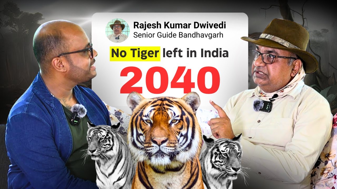 Man Behind Bandhavgarh - Real Life Hero - Sir Rajesh Kumar Dwivedi Ji ...