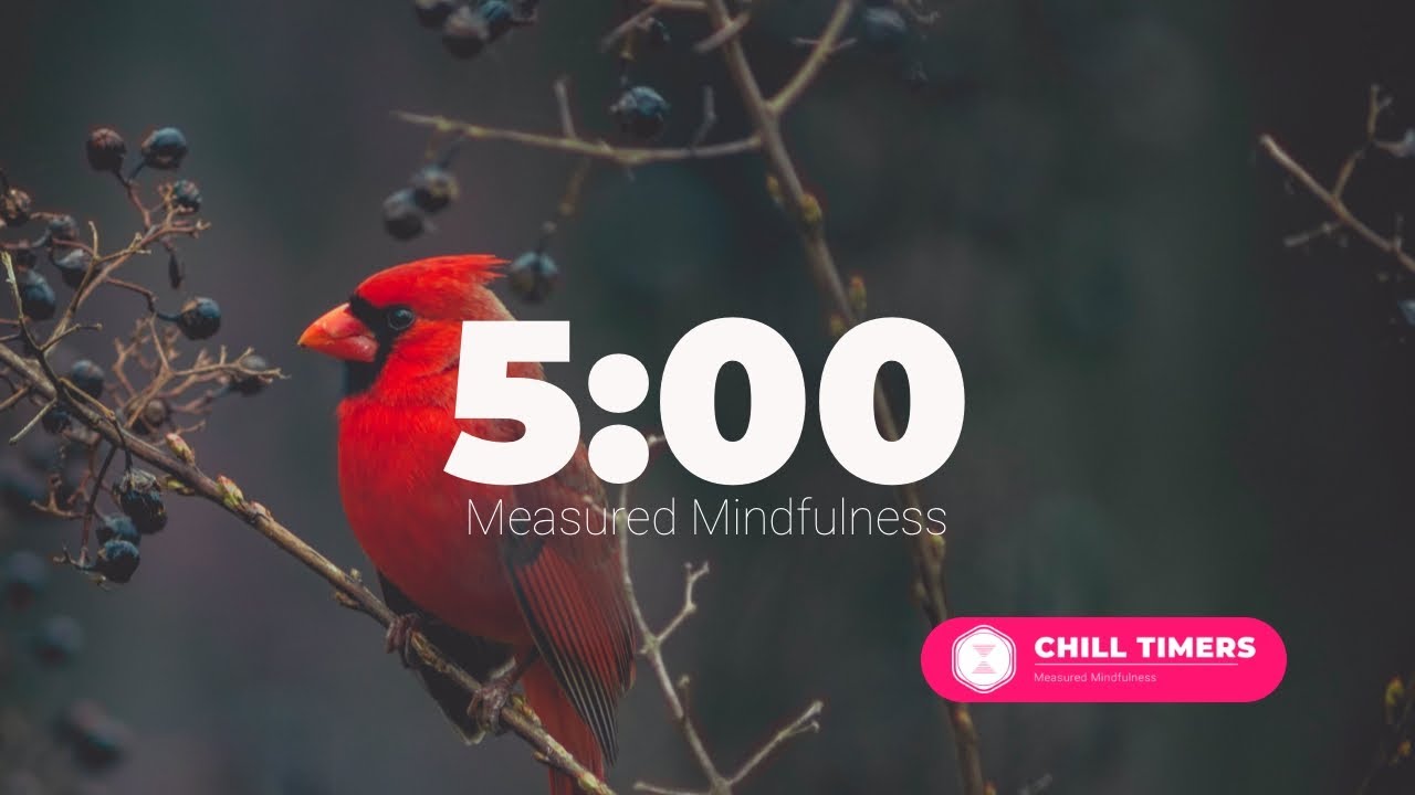 5 Minute Timer | 4k Amazing Birds - YouTube
