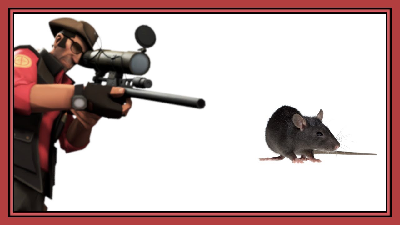 Sniper hits a rat - YouTube