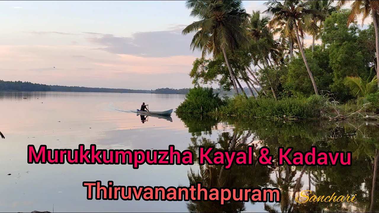 Murukkumpuzha Kayal & Kadavu, Trivandrum | HD | മുരുക്കുംപുഴ കായ ...