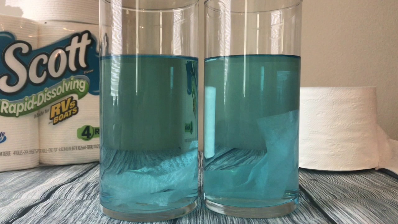 My Scott Rapid-Dissolving TP Experiment - YouTube