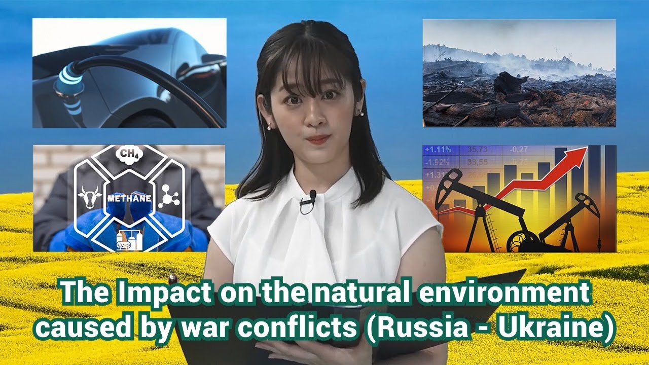 War Impact On The Environment | Powered by Mygreengrowers | SDGS03 ...