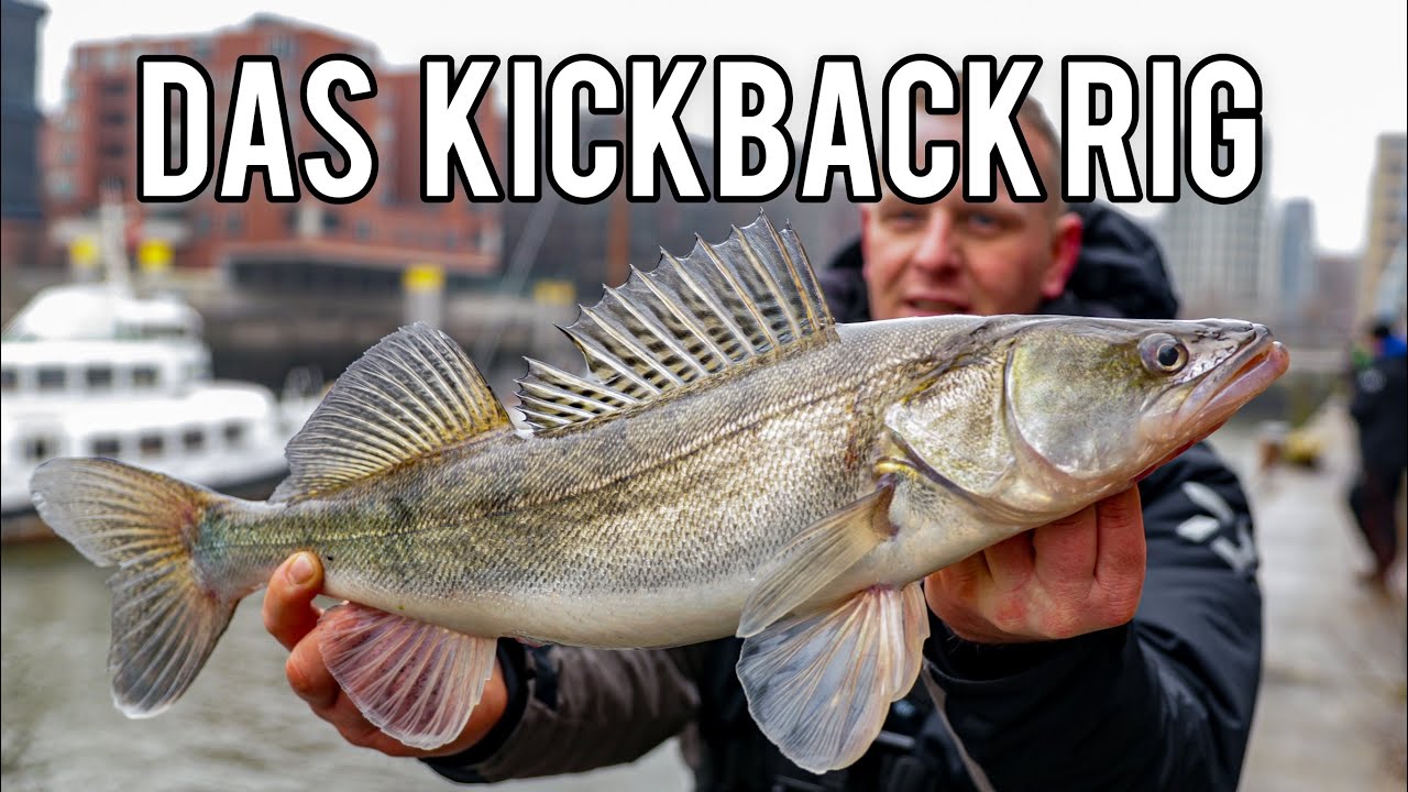 Das Kickback Rig -Die Waffe auf Zander | Streetstyle Fishing - YouTube