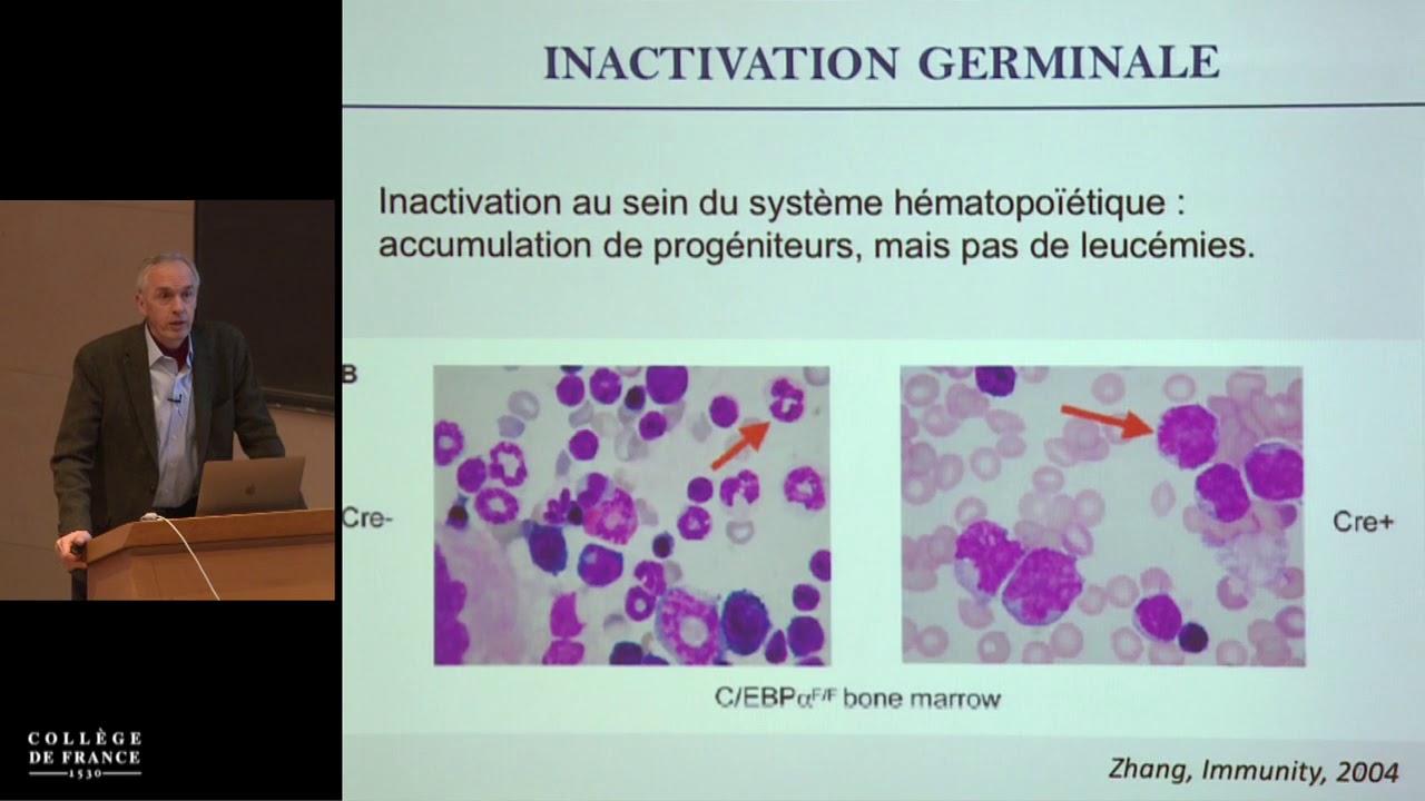Facteurs de transcription et différenciation cellulaire (4) - Hugues de ...