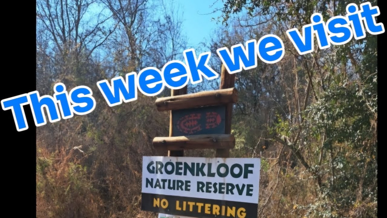 This week we visit Groenkloof Nature Reserve - YouTube