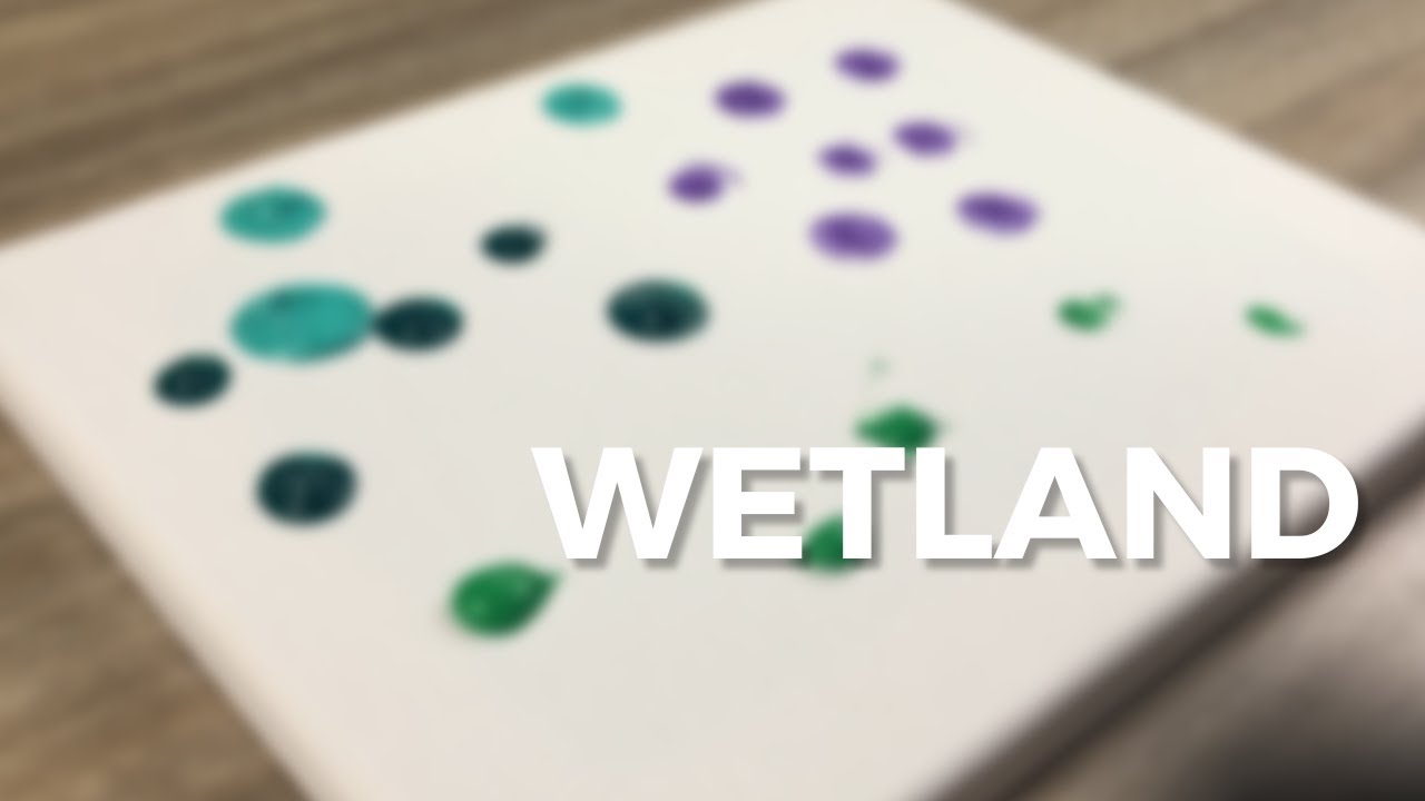 Wetland | Step-by-Step Acrylic Painting | Acrylic Painting Tutorial ...