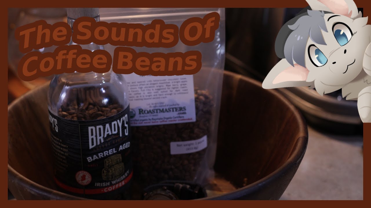 Coffee Beans! | Patron request ASMR (Talking) - YouTube